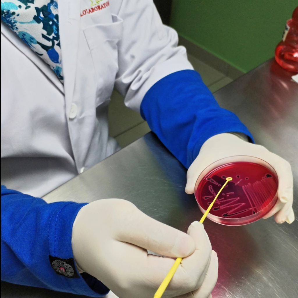 Our Services - Lotus Laboratory | One Stop Chemical Analysis